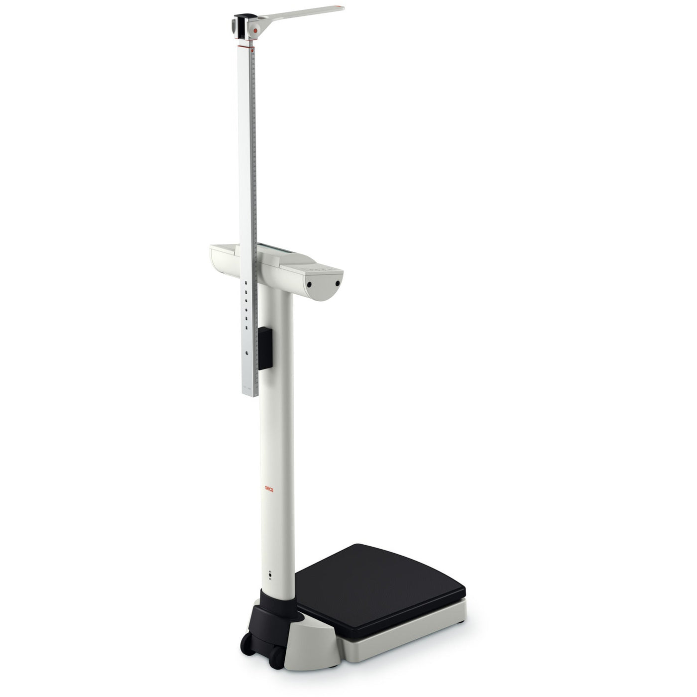 seca 703 - EMR-Validated Column Scale with 300 kg Capacity