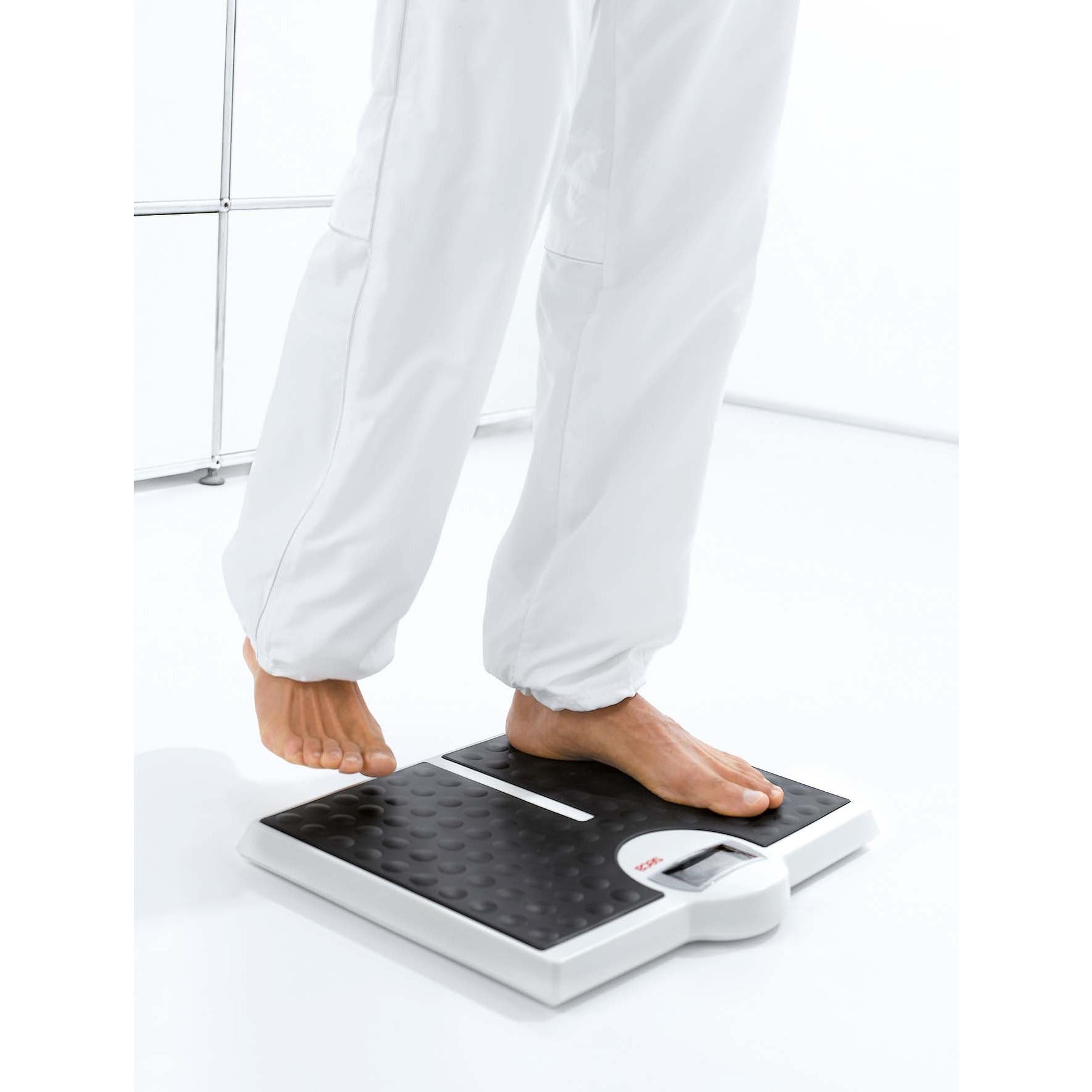 seca 813 - Flat Scale with High Capacity